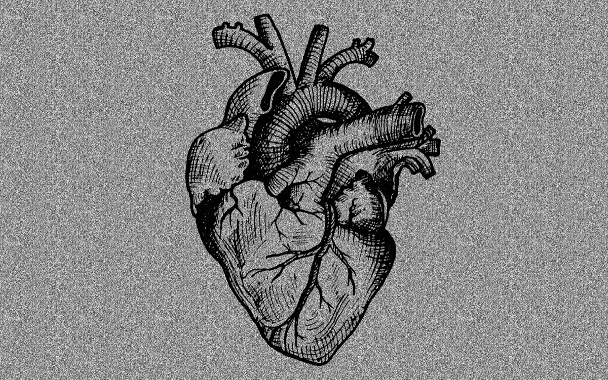 Listen: "Mysteries of The Heart" on NPR's Science Friday - Sandeep Jauhar